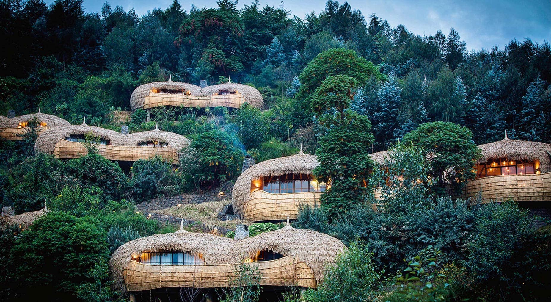 Best Tailored African Safari Packages from Canada | 2025/2026.