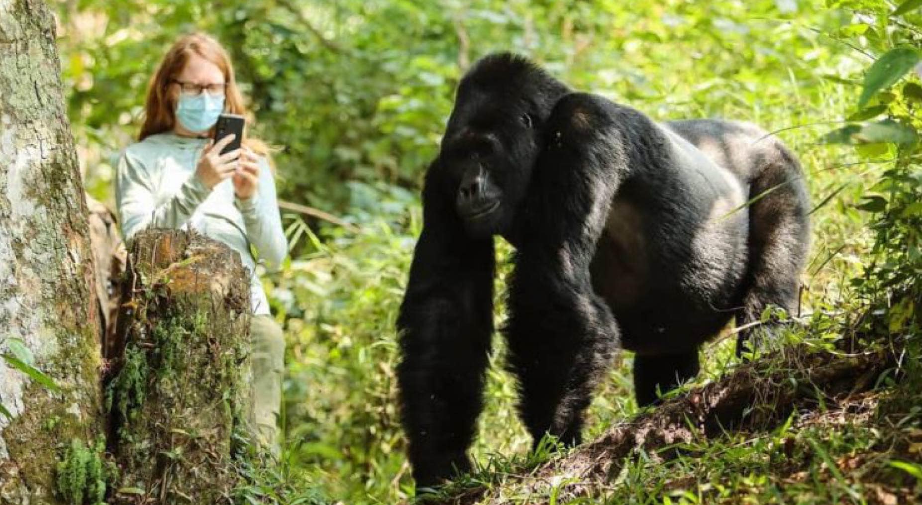 Best Tailored African Safari Packages from Canada | 2025/2026.