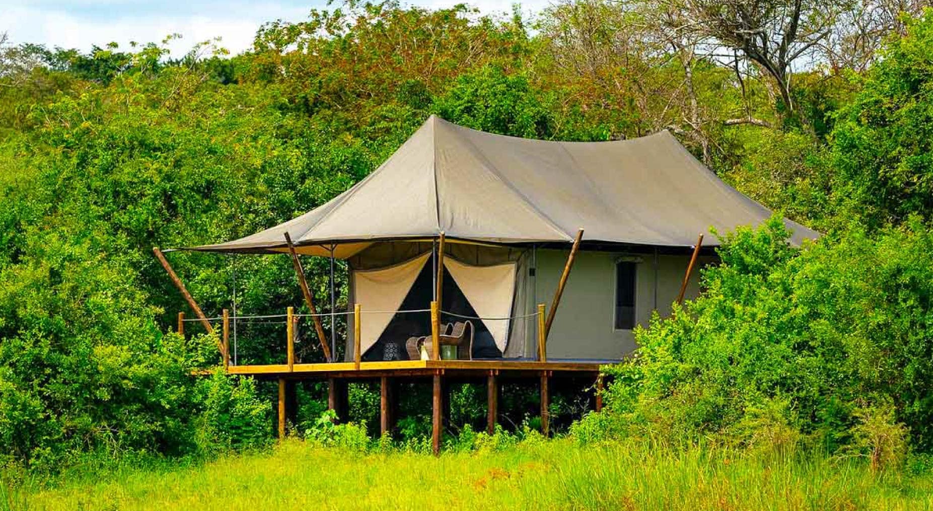 Best Tailored African Safari Packages from Canada | 2025/2026.